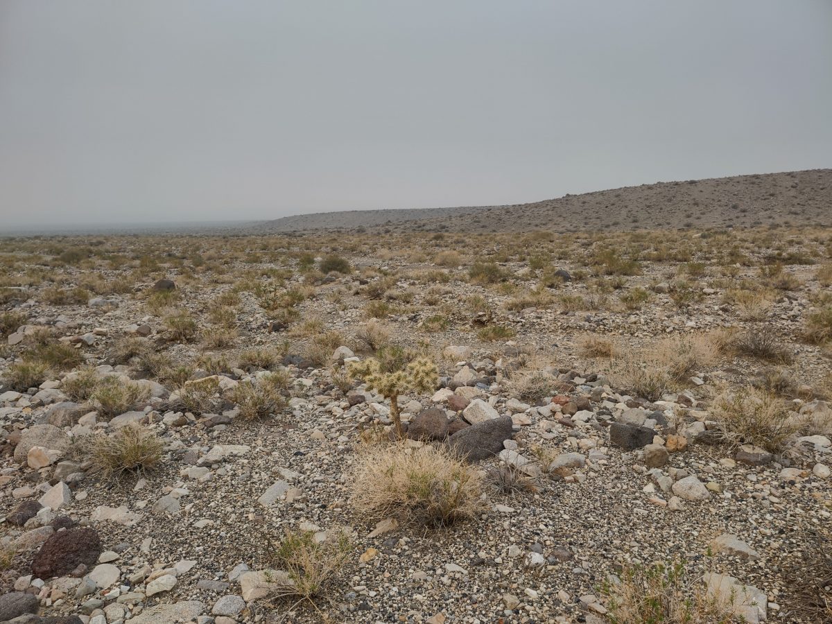 Macallan East Project - Scotch Creek Ventures